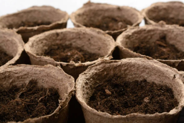 Dutch Articles of Peat Export Decreases Modestly to $185K in August 2023