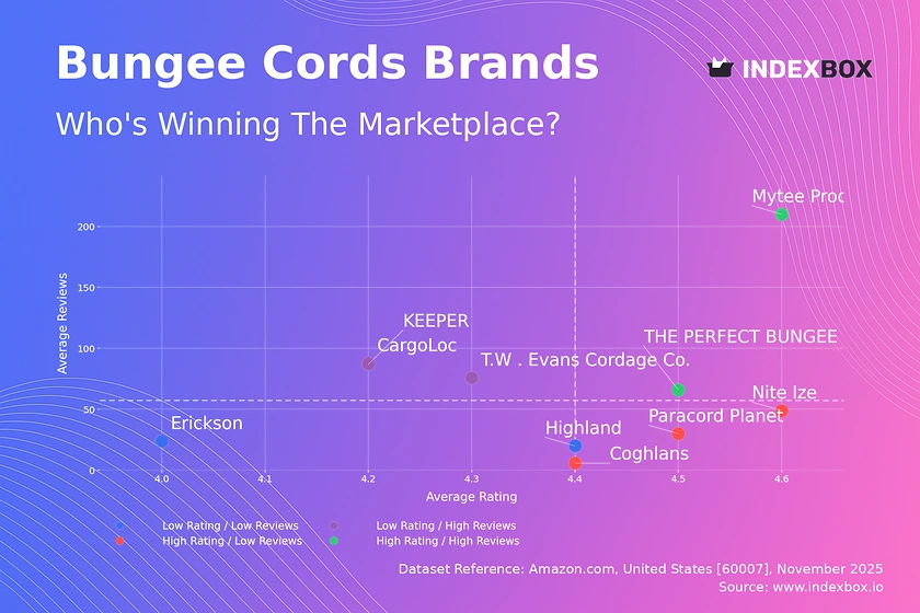Bungee Cord Market Analysis: How Top Brands Win with Ratings and Reviews