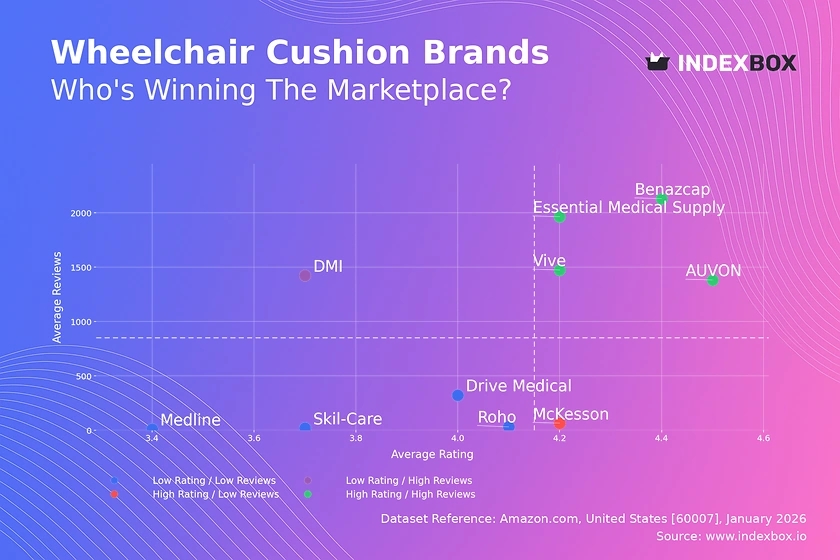 Wheelchair Cushion Market Leaders: How Top Brands Achieve High Ratings and High Reviews