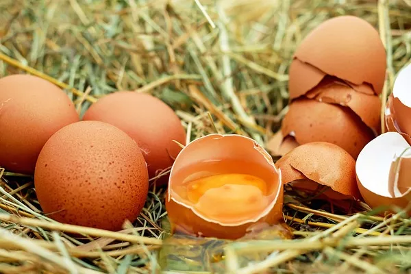 American Egg Shortage Intensifies Due to Bird Flu Crisis