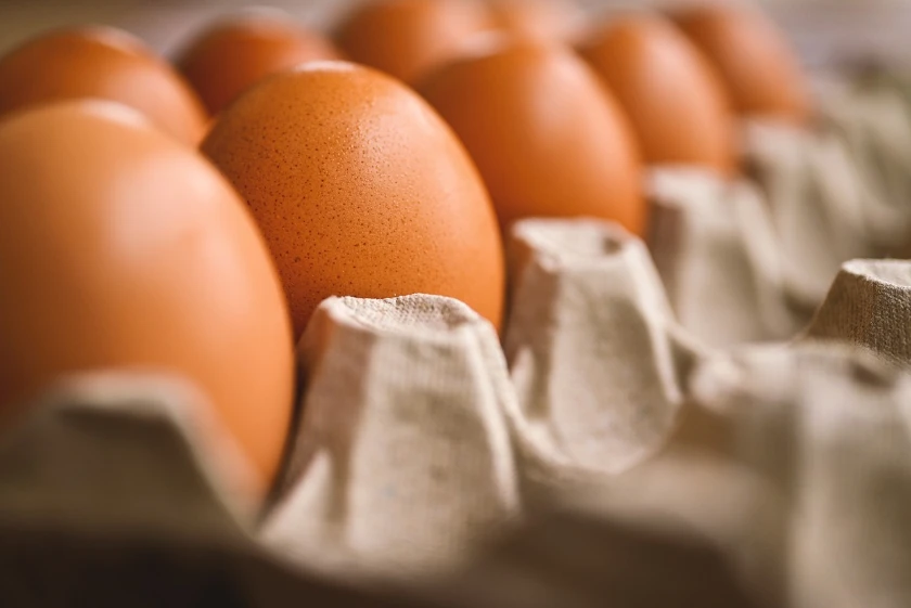 Ricardo Faria's Acquisition of Hillandale Farms: A Game Changer in the U.S. Egg Industry