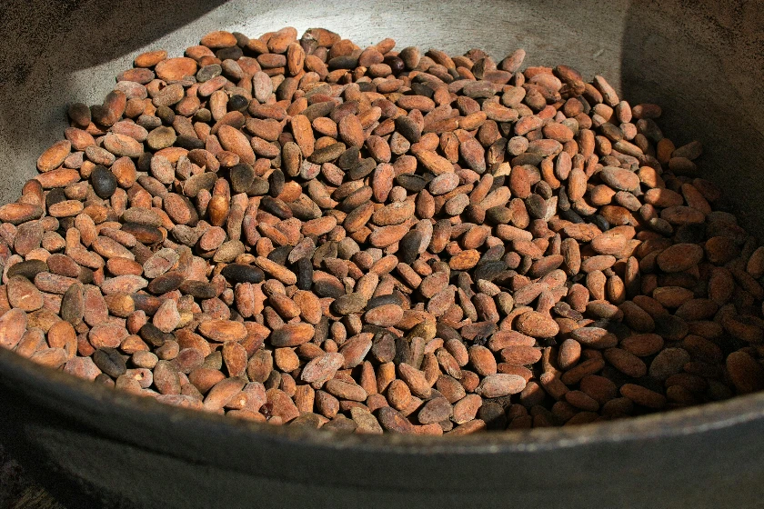 Cocoa Prices Surge on Tightened Supply Forecast