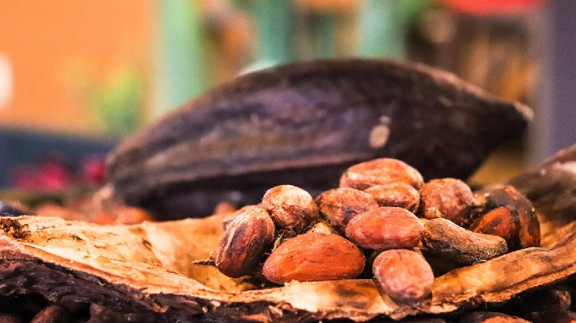 Cocoa Prices Decline Amid Speculation on Tariff Exemptions