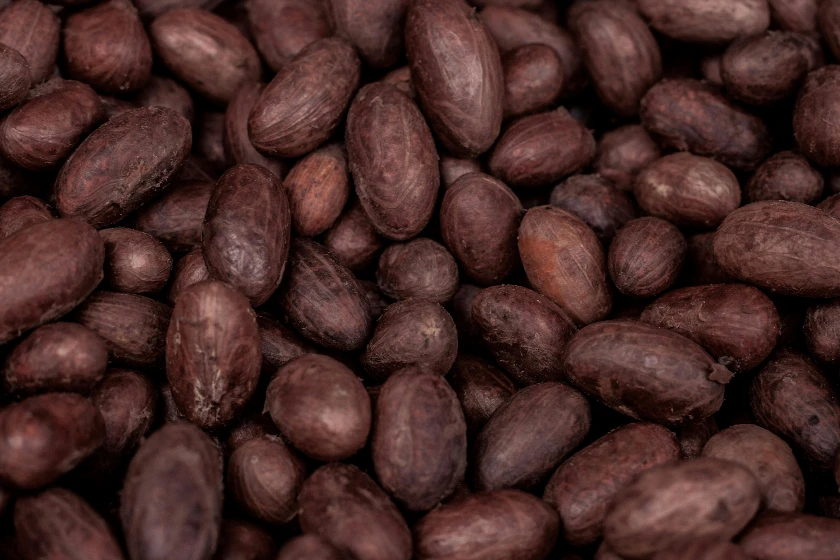 Cocoa Prices Surge to 6-Week Highs Amid West Africa Drought