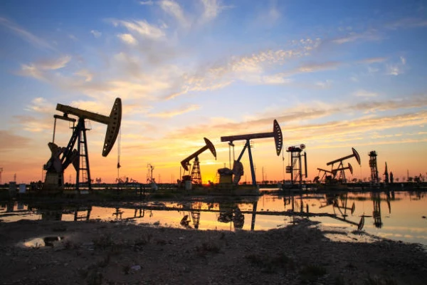 Import Markets for Crude Oil and Processed Petroleum