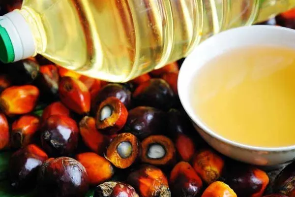 China's Crude Palm Oil Market to Experience Slight Growth with +0.1% CAGR Over Next Decade
