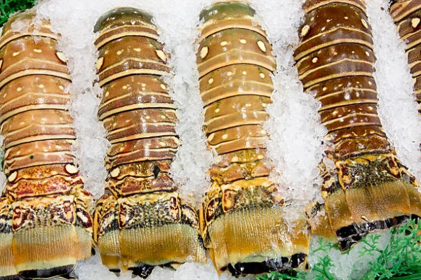The World's Best Import Markets for Frozen Lobster