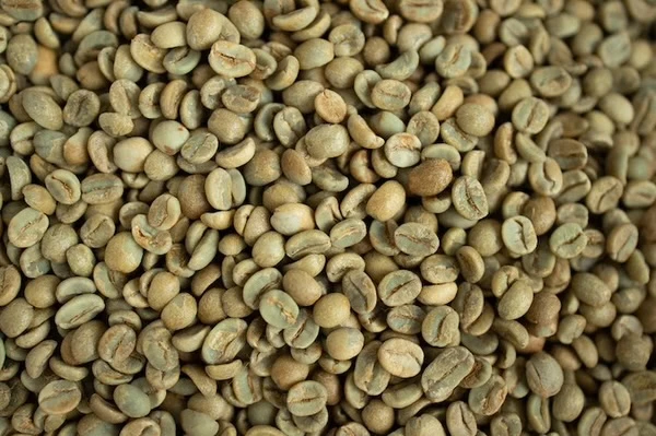 Exploring the Top Import Markets for Unroasted Decaffeinated Coffee