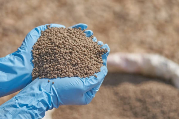 The World's Best Import Markets for Diammonium Phosphate