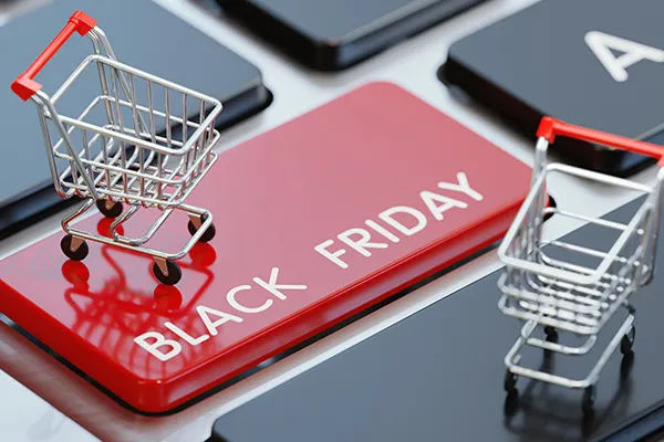 E-commerce Giants Reap Record Sales on Black Friday and Cyber Monday