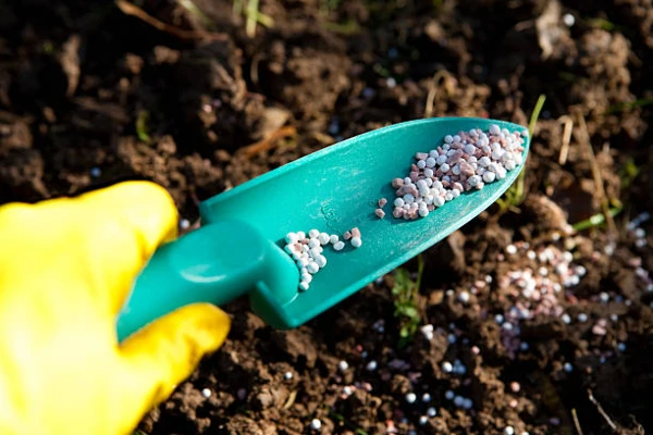 Entering the Fertilizer Market in Latin America and the Caribbean