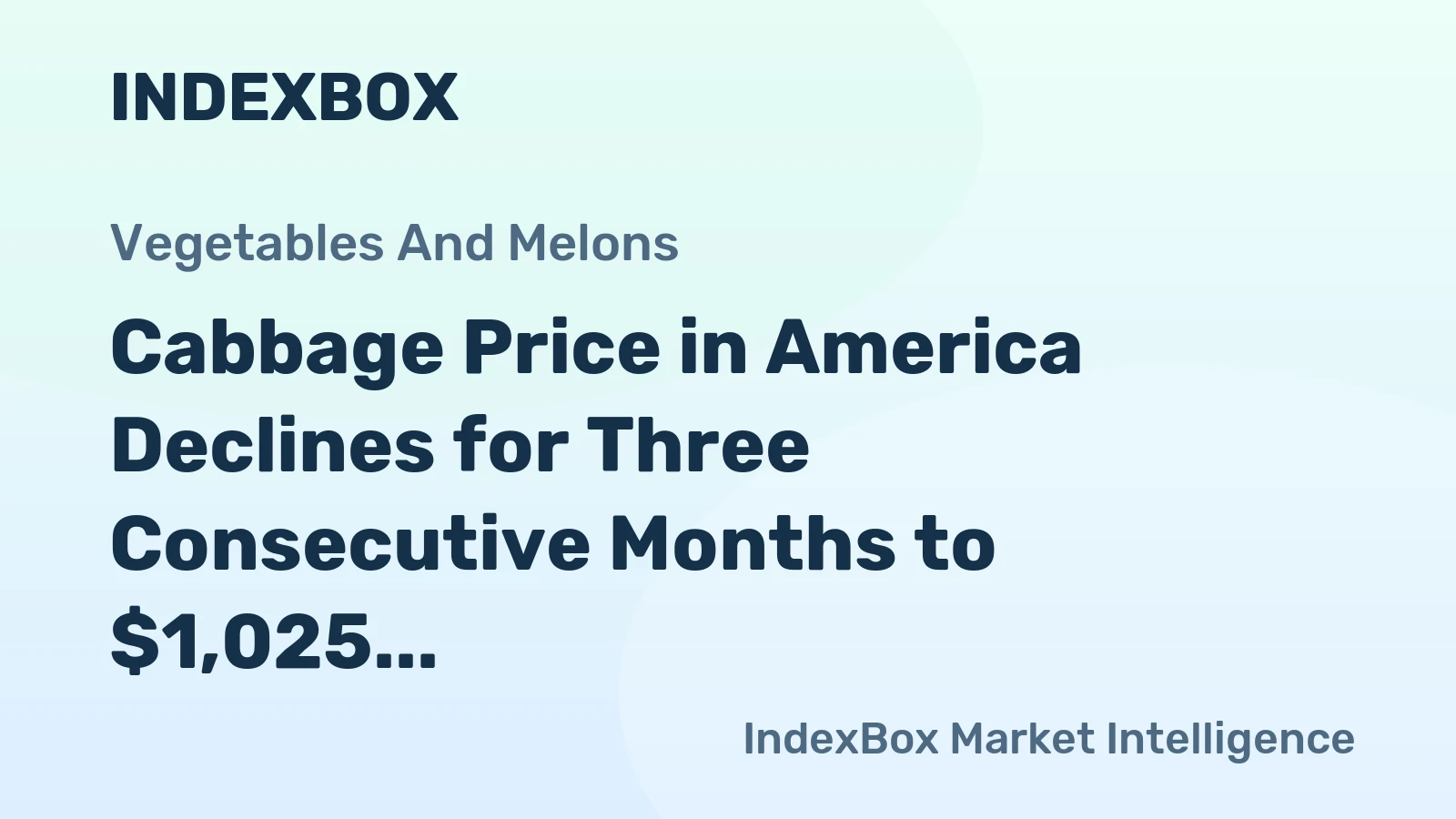 Cabbage Price in America Declines for Three Consecutive Months to $1,025 per Ton