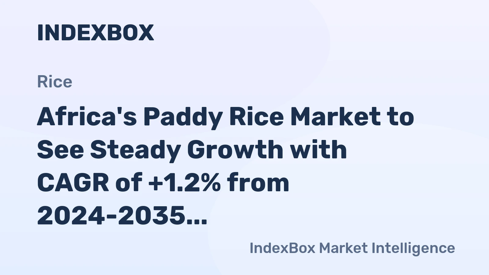 Africa's Paddy Rice Market to See Steady Growth with CAGR of +1.2% from 2024-2035
