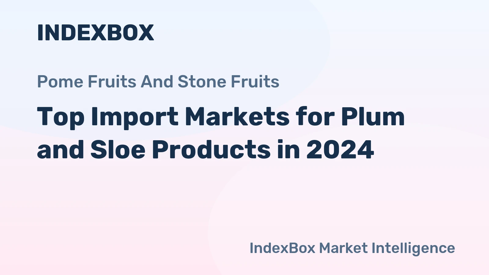 Top Import Markets for Plum and Sloe Products in 2024