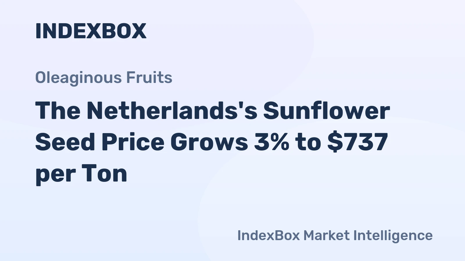 The Netherlands's Sunflower Seed Price Grows 3% to $737 per Ton