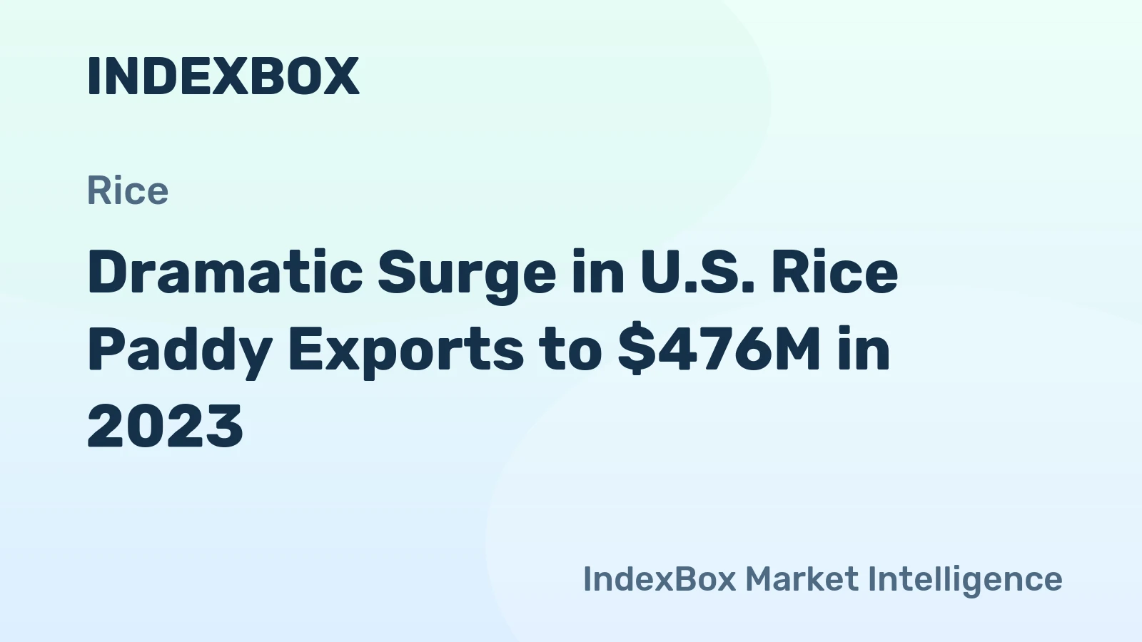 Dramatic Surge in U.S. Rice Paddy Exports to $476M in 2023