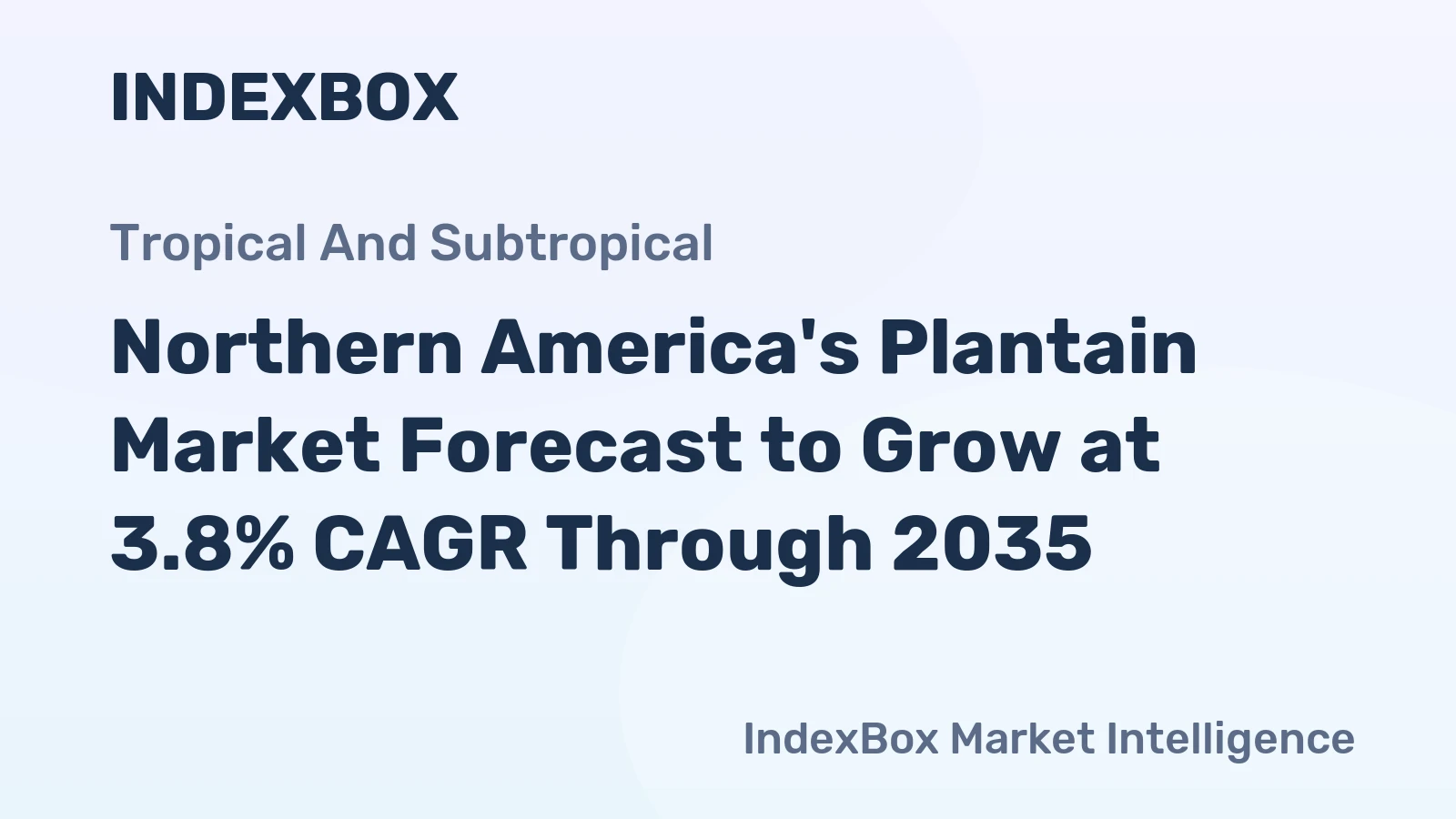 Northern America's Plantain Market Forecast to Grow at 3.8% CAGR Through 2035