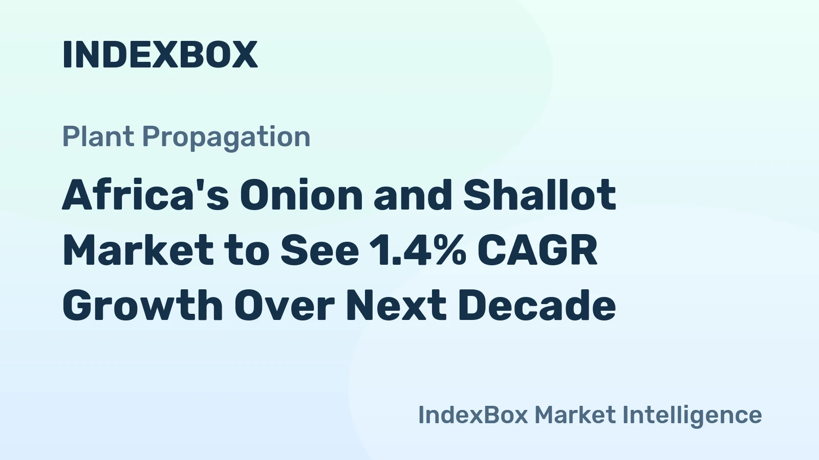 Africa's Onion and Shallot Market to See 1.4% CAGR Growth Over Next Decade