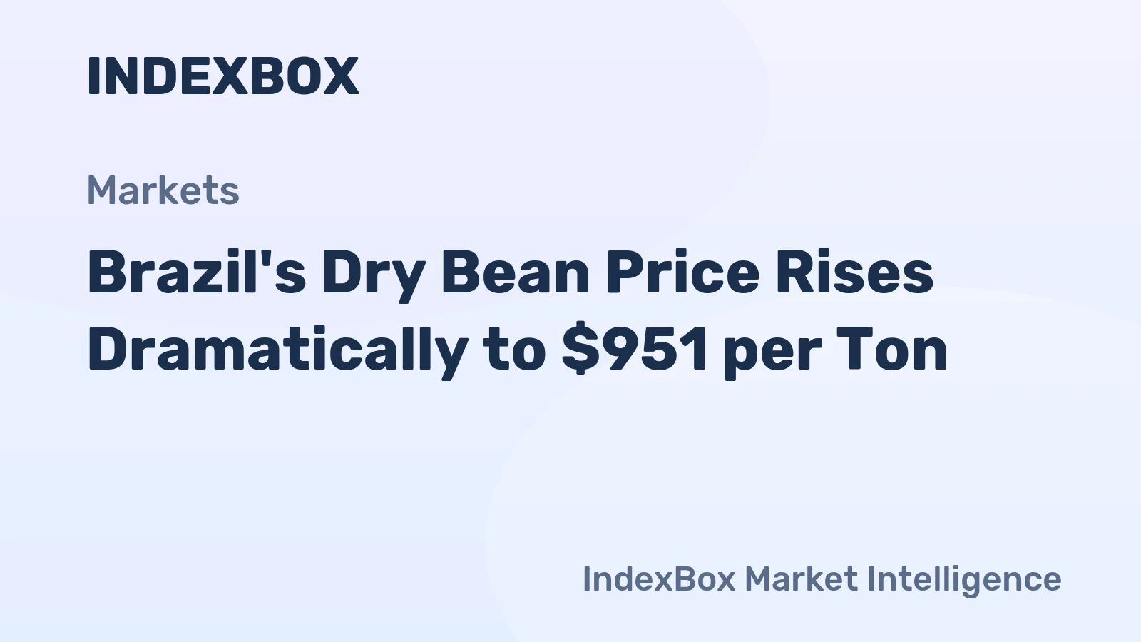 Brazil's Dry Bean Price Rises Dramatically to $951 per Ton
