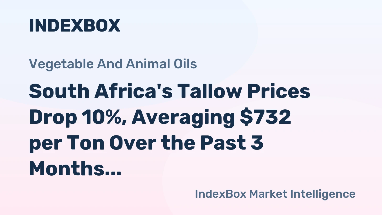 South Africa's Tallow Prices Drop 10%, Averaging $732 per Ton Over the Past 3 Months