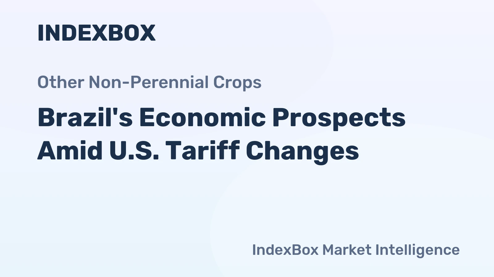 Brazil's Economic Prospects Amid U.S. Tariff Changes