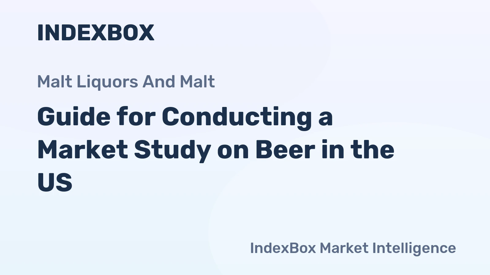 Guide for Conducting a Market Study on Beer in the US