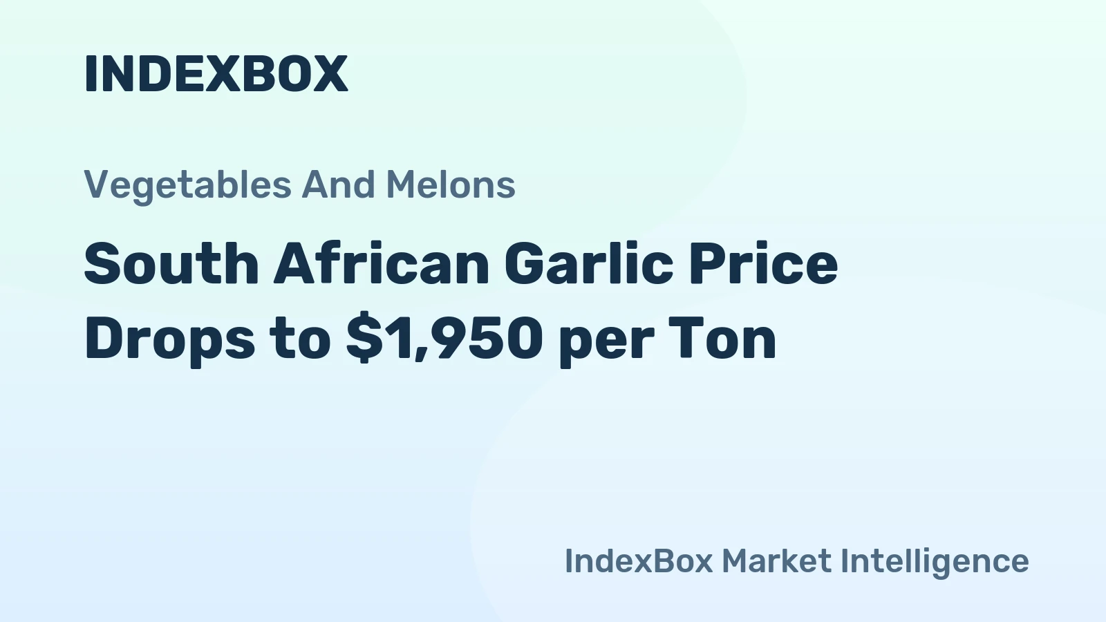 South African Garlic Price Drops to $1,950 per Ton