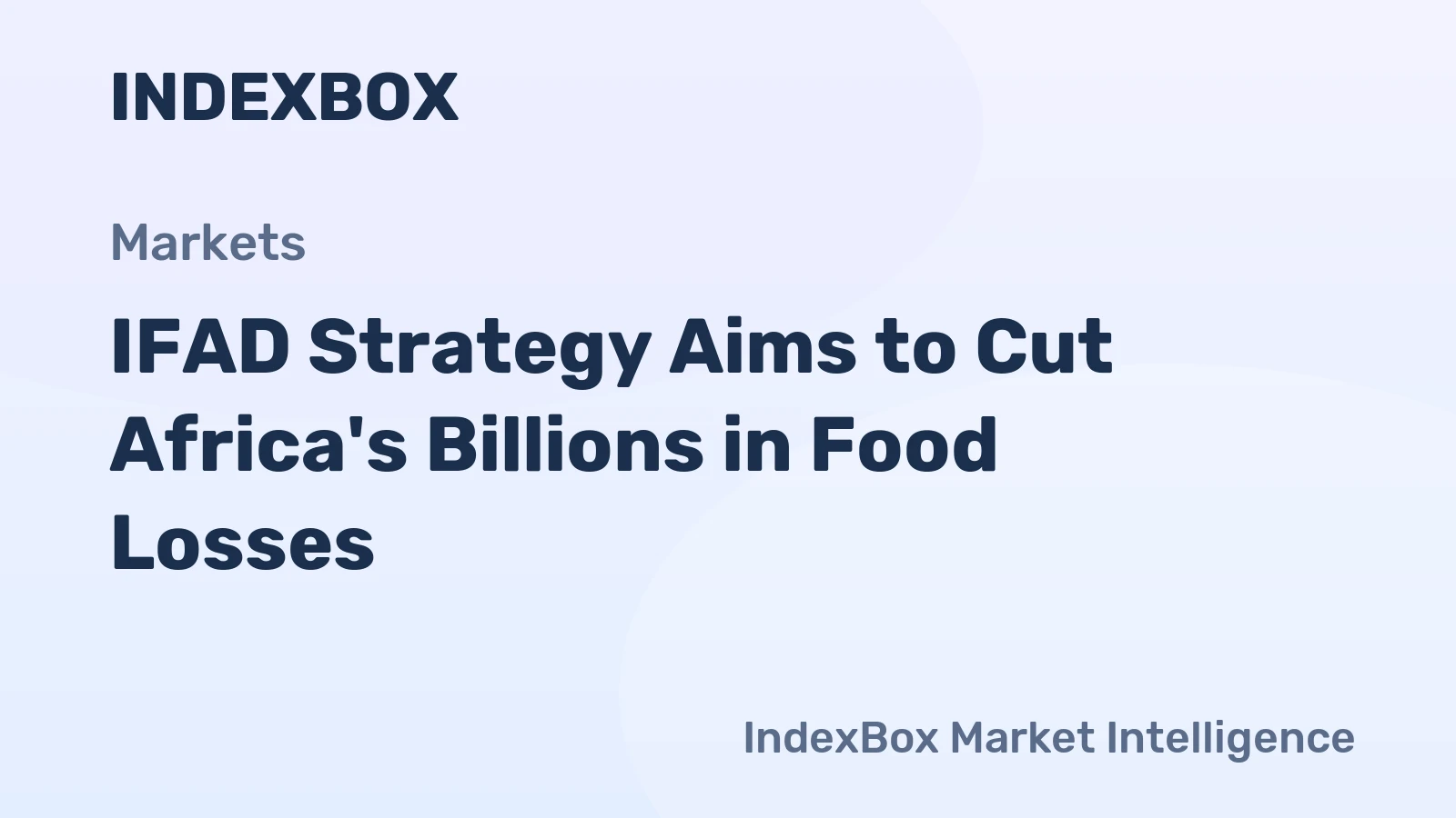 IFAD Strategy Aims to Cut Africa's Billions in Food Losses
