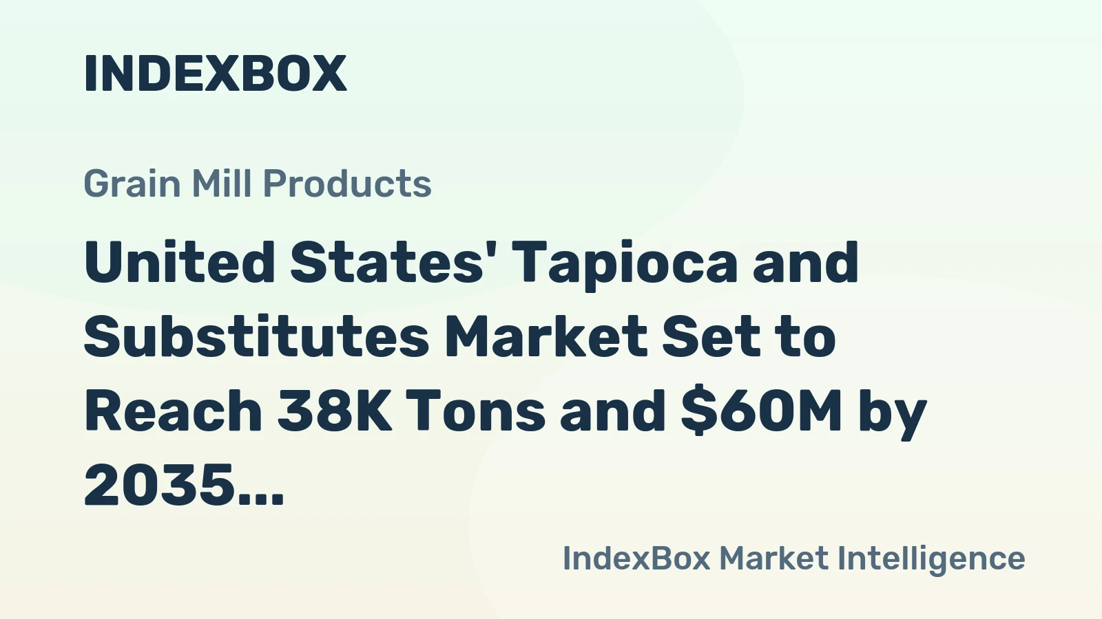 United States' Tapioca and Substitutes Market Set to Reach 38K Tons and $60M by 2035