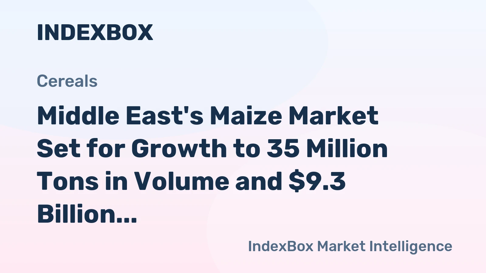Middle East's Maize Market Set for Growth to 35 Million Tons in Volume and $9.3 Billion in Value
