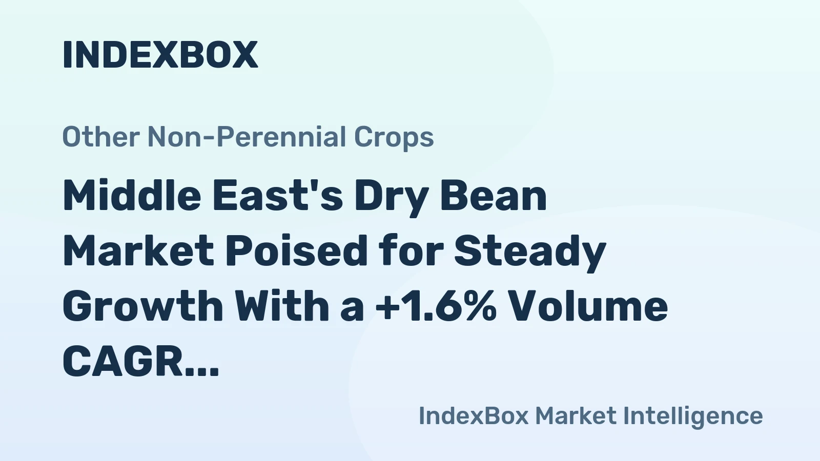 Middle East's Dry Bean Market Poised for Steady Growth With a +1.6% Volume CAGR Through 2035
