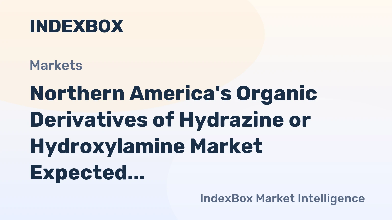 Northern America's Organic Derivatives of Hydrazine or Hydroxylamine Market Expected to Grow at CAGR of +2.8% through 2035