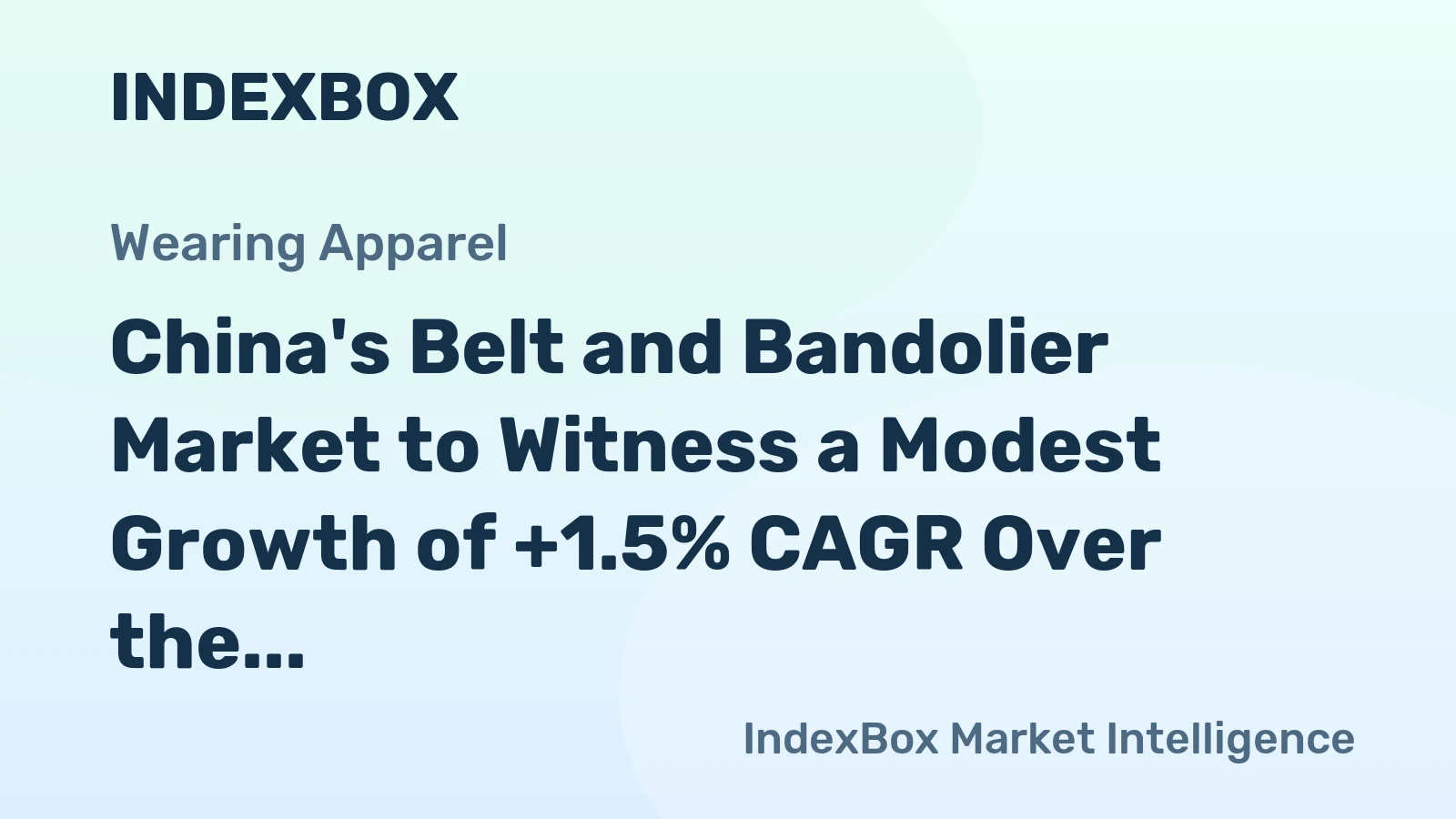 China's Belt and Bandolier Market to Witness a Modest Growth of +1.5% CAGR Over the Next Decade