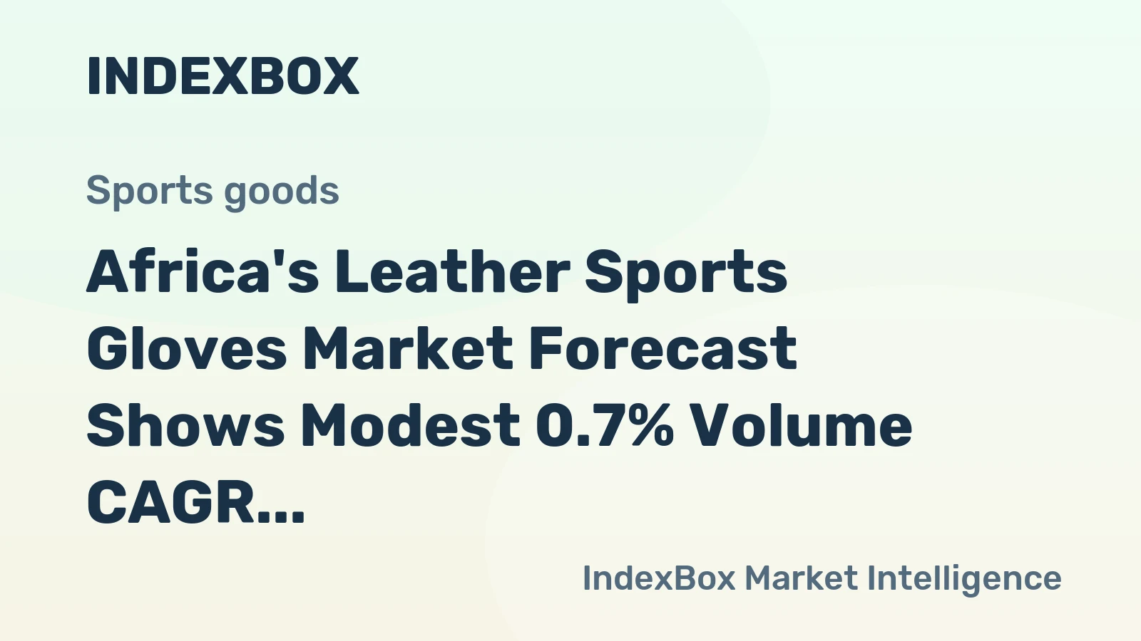 Africa's Leather Sports Gloves Market Forecast Shows Modest 0.7% Volume CAGR Through 2035