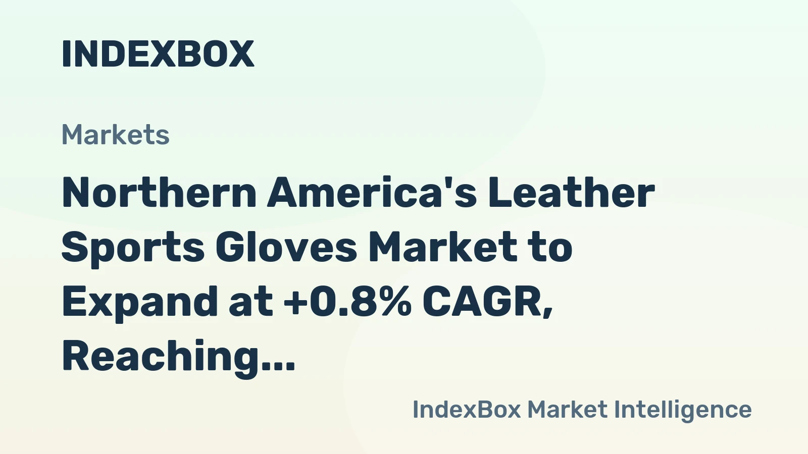 Northern America's Leather Sports Gloves Market to Expand at +0.8% CAGR, Reaching $1.6B by 2035