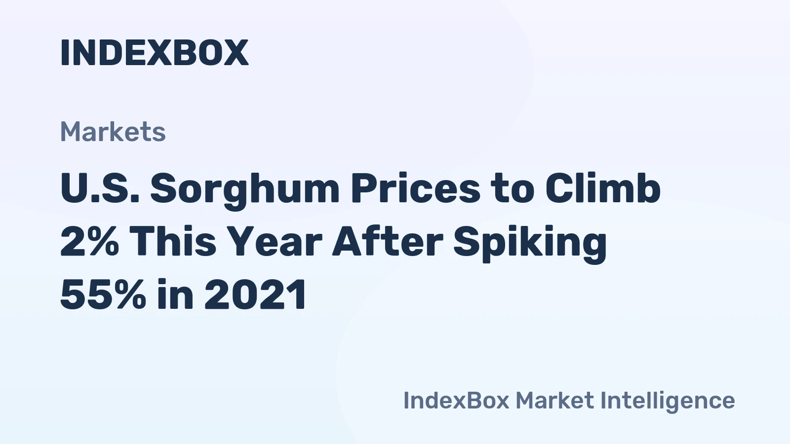 U.S. Sorghum Prices to Climb 2% This Year After Spiking 55% in 2021