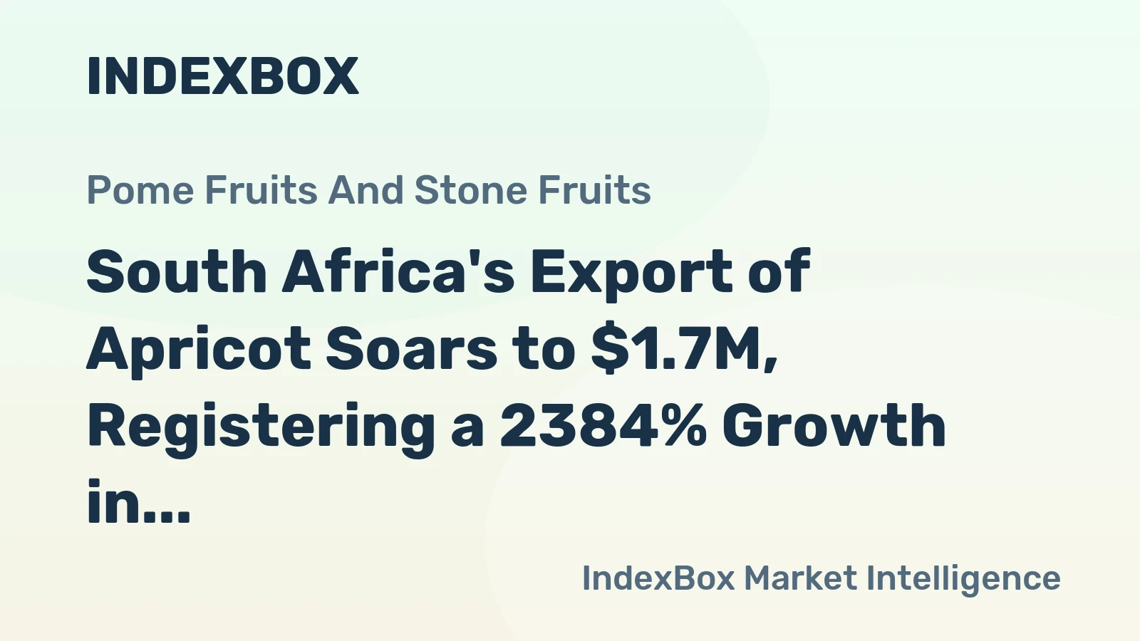 South Africa's Export of Apricot Soars to $1.7M, Registering a 2384% Growth in November 2023