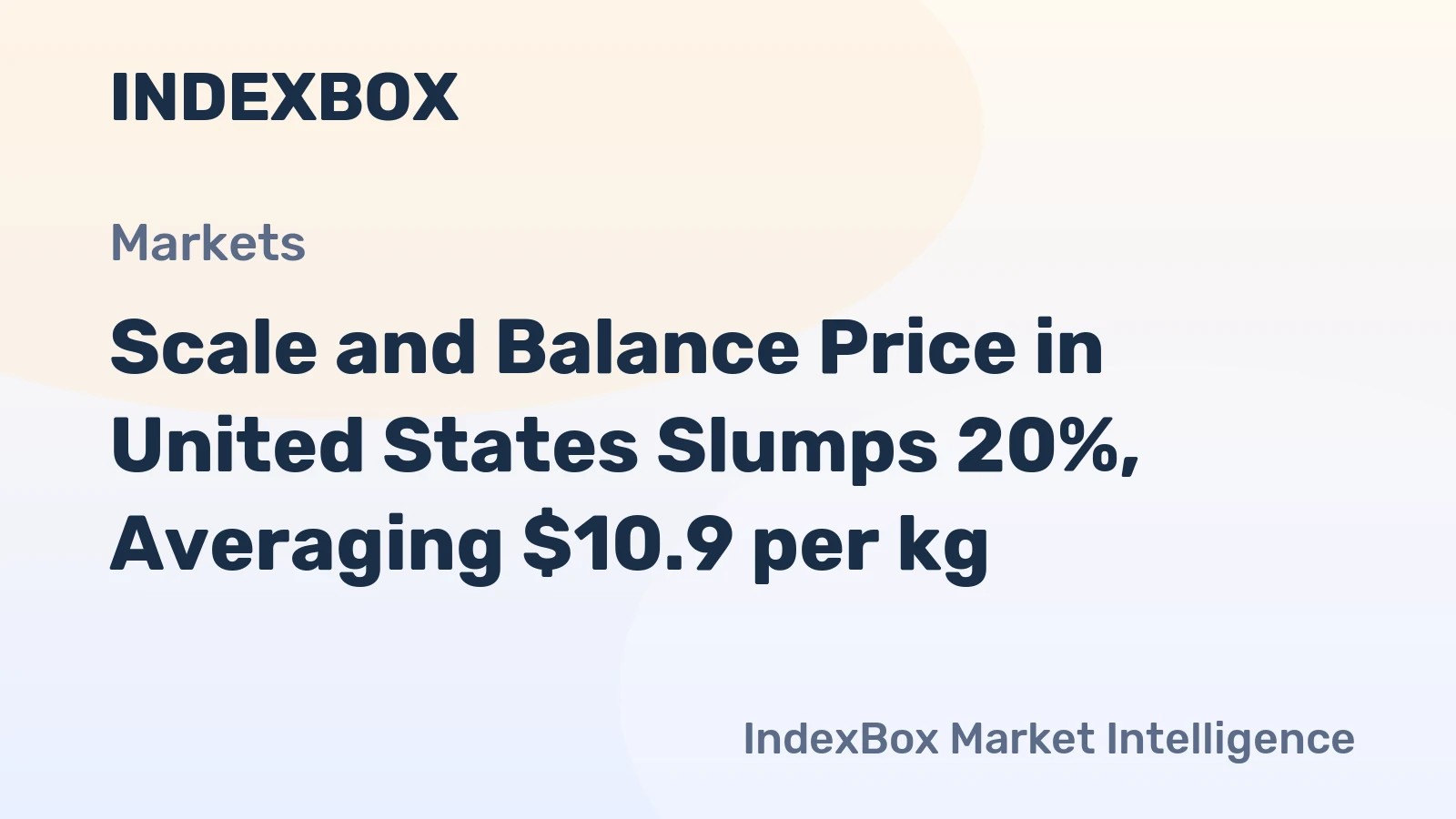Scale and Balance Price in United States Slumps 20%, Averaging $10.9 per kg