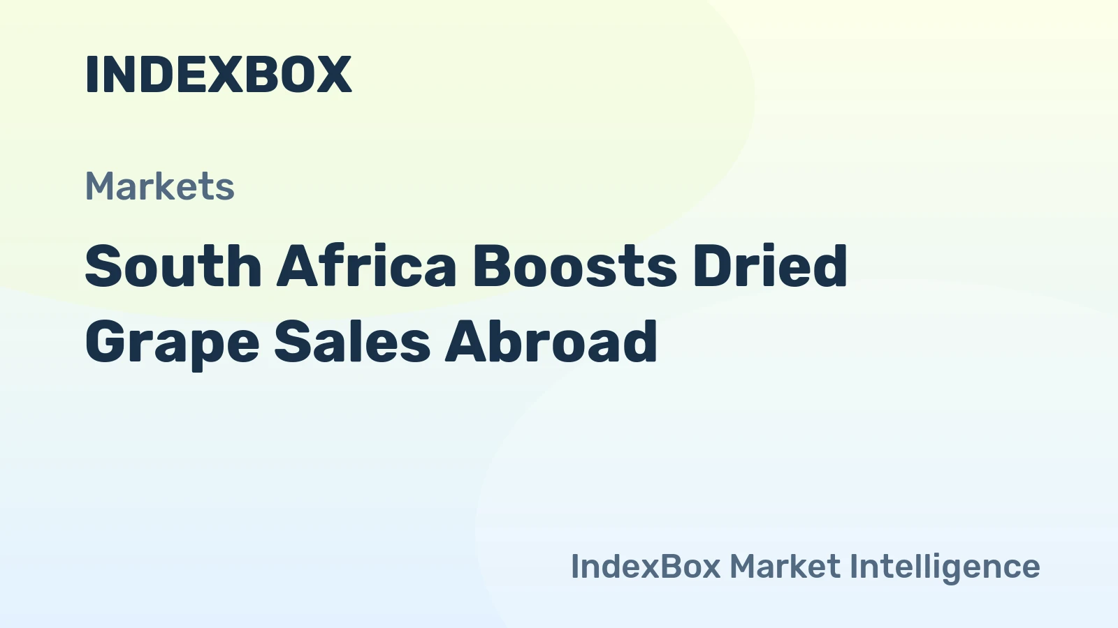 South Africa Boosts Dried Grape Sales Abroad