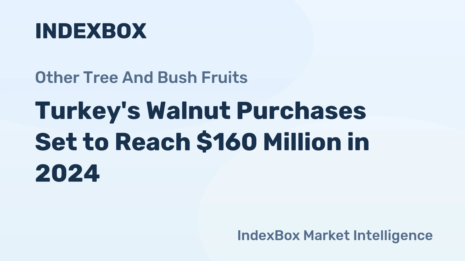 Turkey's Walnut Purchases Set to Reach $160 Million in 2024