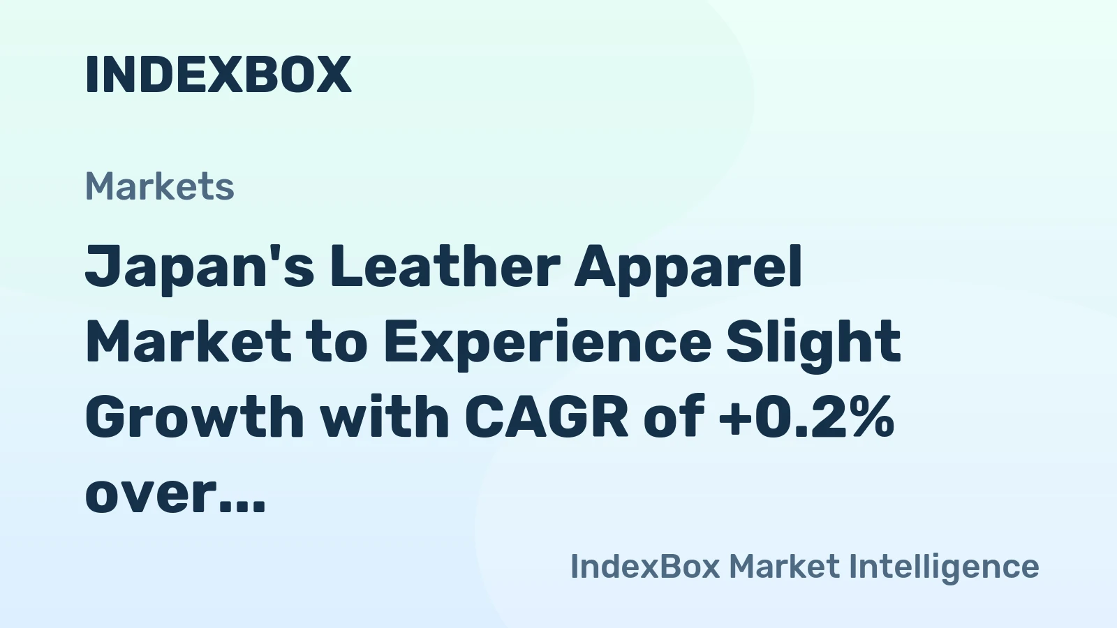 Japan's Leather Apparel Market to Experience Slight Growth with CAGR of +0.2% over the Next Decade