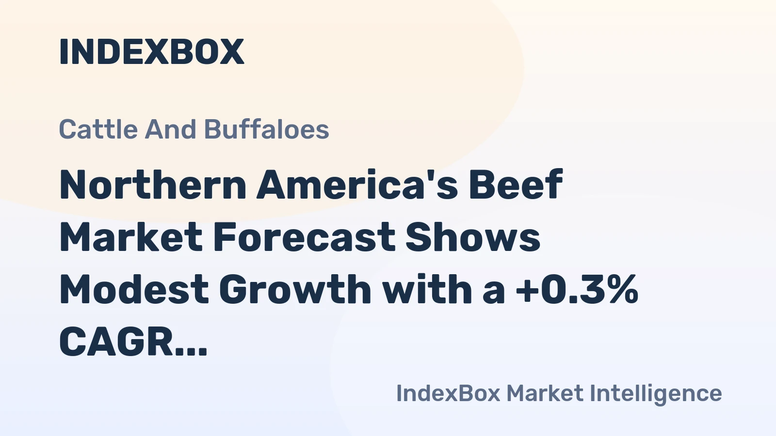 Northern America's Beef Market Forecast Shows Modest Growth with a +0.3% CAGR in Value