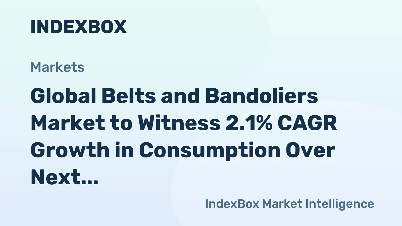 Global Belts and Bandoliers Market to Witness 2.1% CAGR Growth in Consumption Over Next Decade