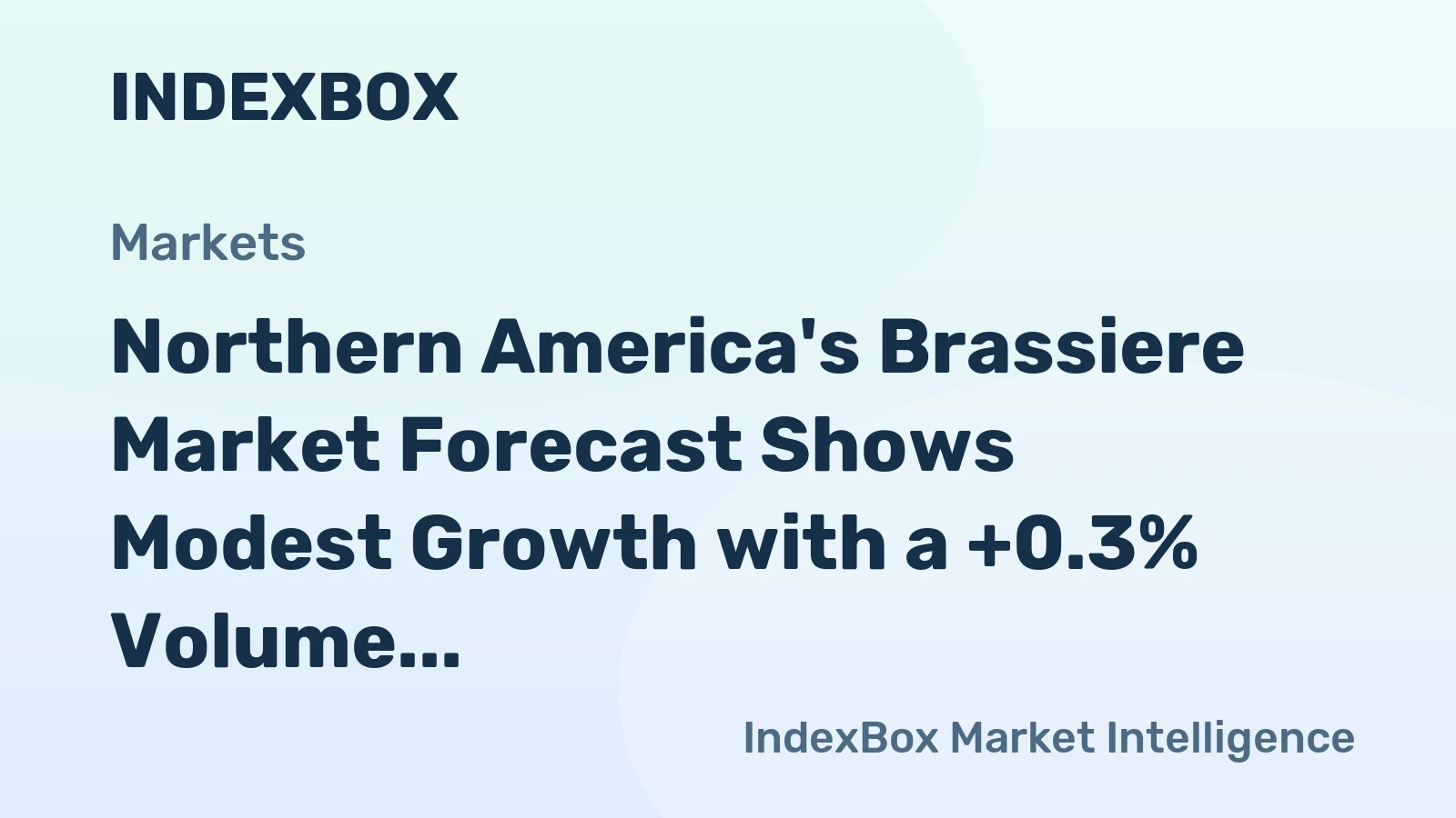 Northern America's Brassiere Market Forecast Shows Modest Growth with a +0.3% Volume CAGR