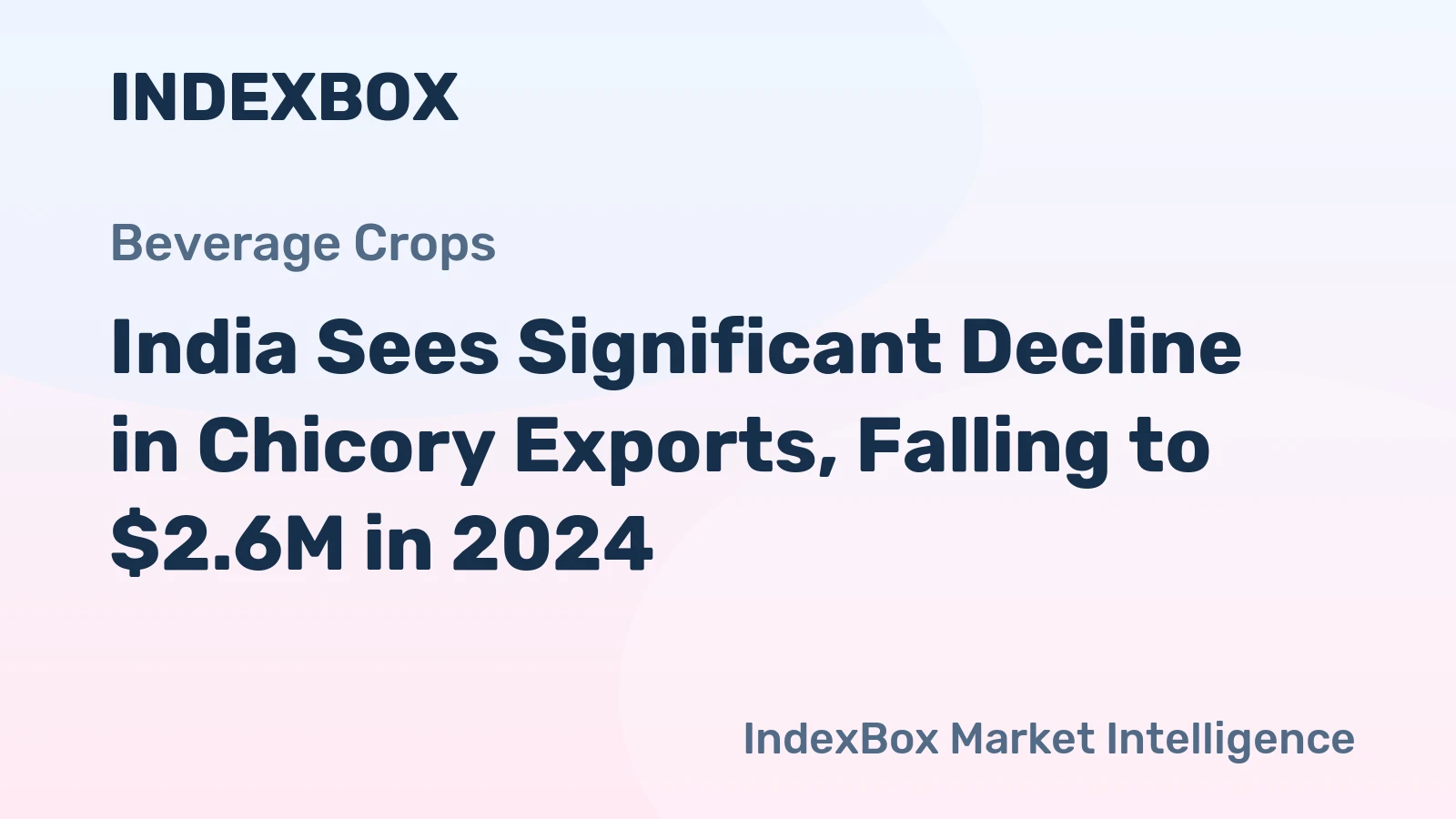 India Sees Significant Decline in Chicory Exports, Falling to $2.6M in 2024