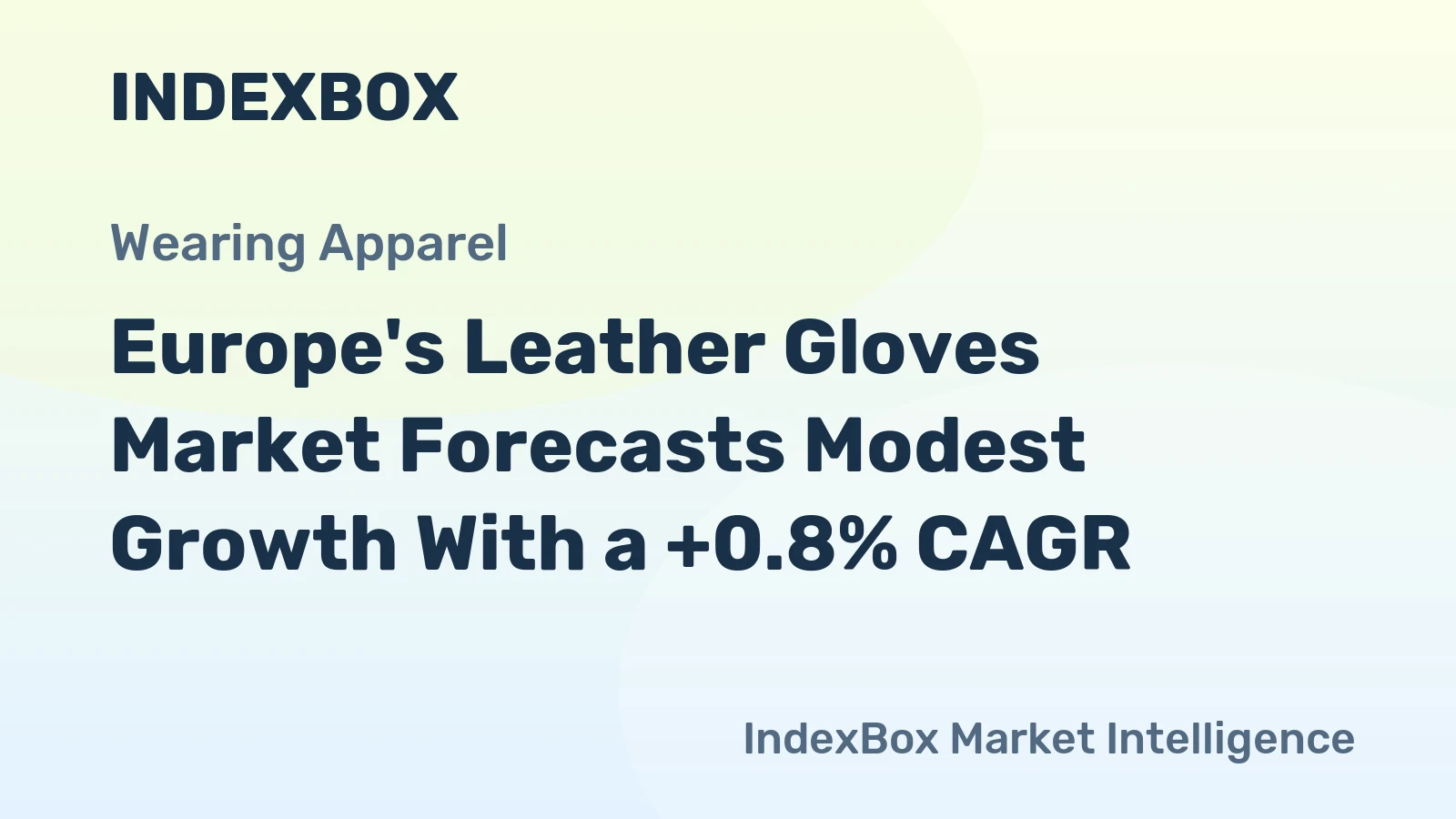 Europe's Leather Gloves Market Forecasts Modest Growth With a +0.8% CAGR