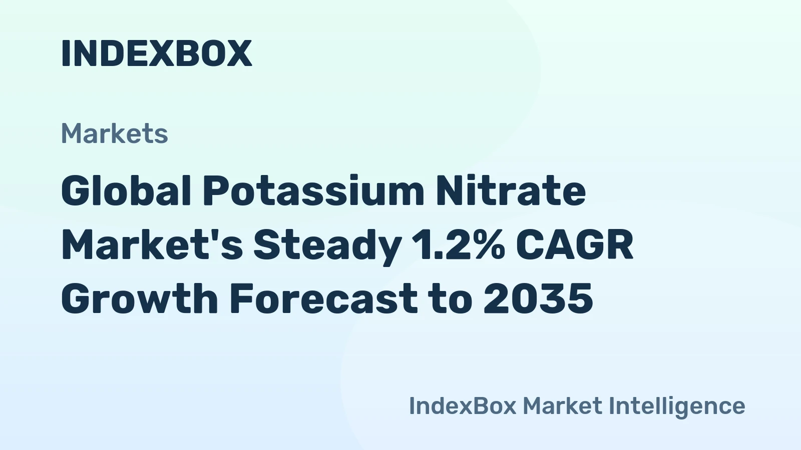 Global Potassium Nitrate Market's Steady 1.2% CAGR Growth Forecast to 2035