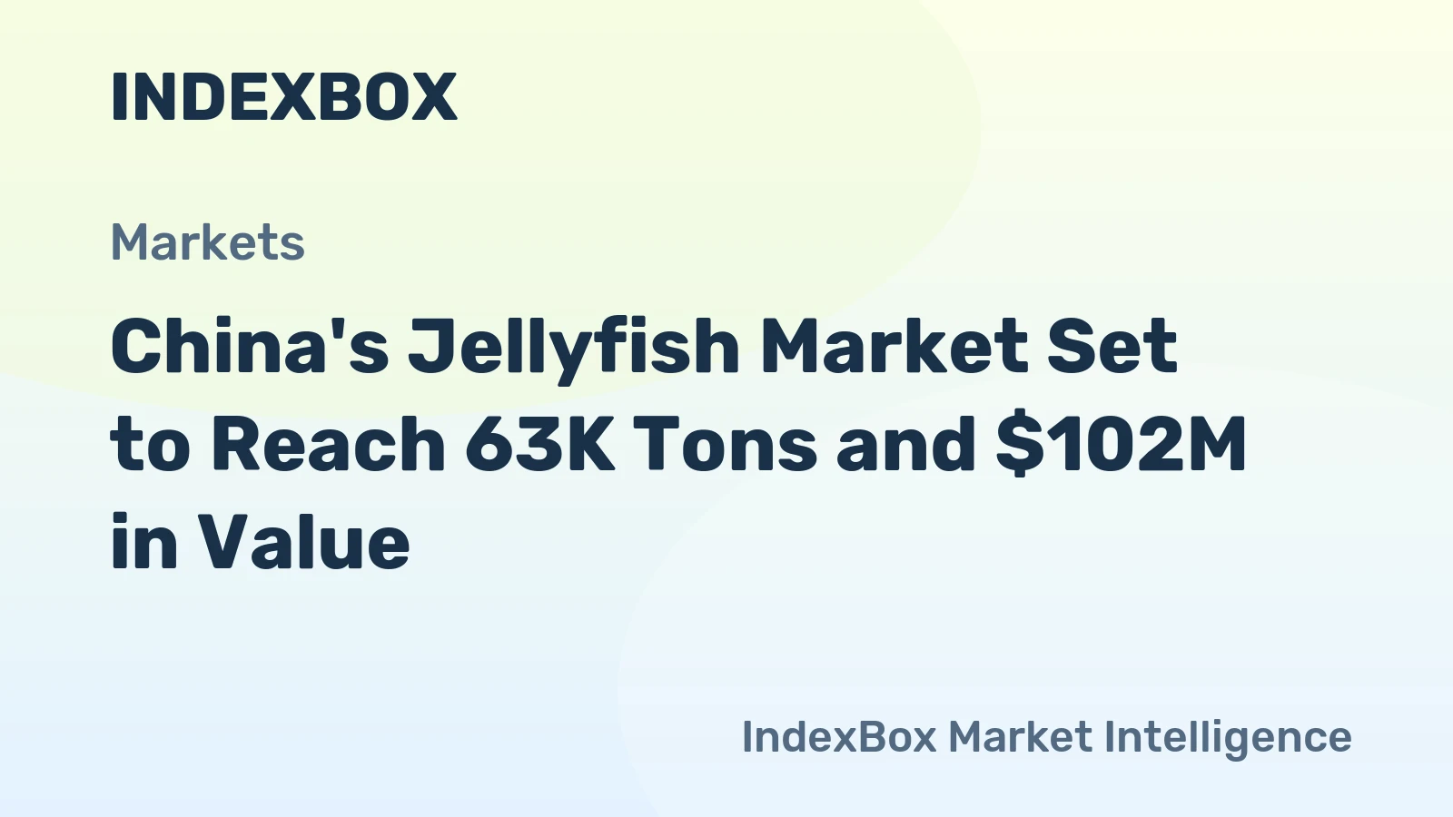 China's Jellyfish Market Set to Reach 63K Tons and $102M in Value