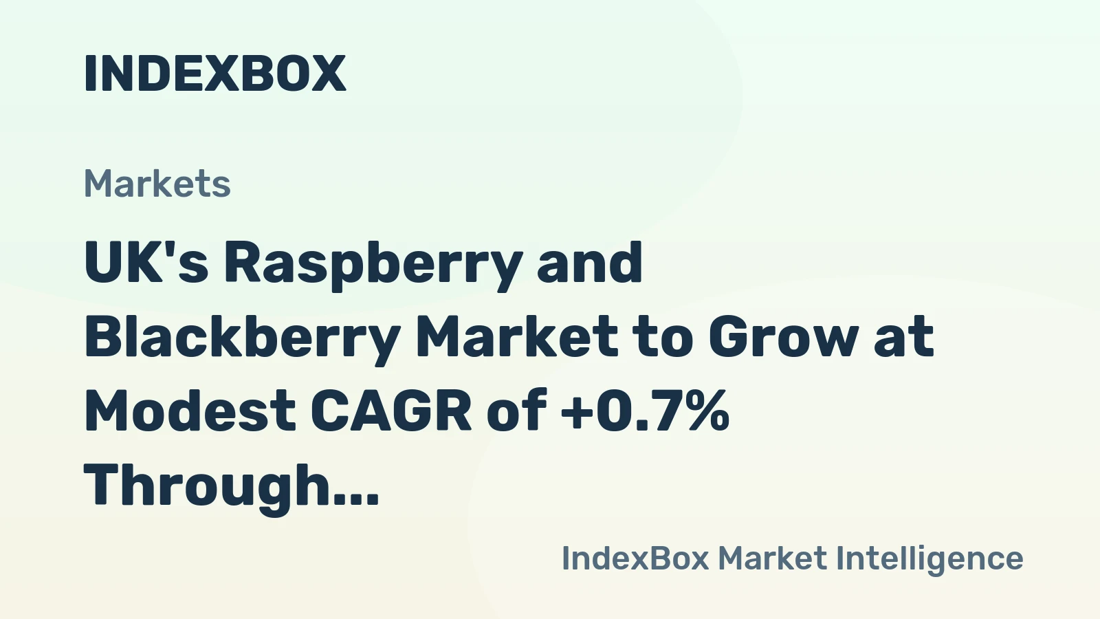UK's Raspberry and Blackberry Market to Grow at Modest CAGR of +0.7% Through 2035