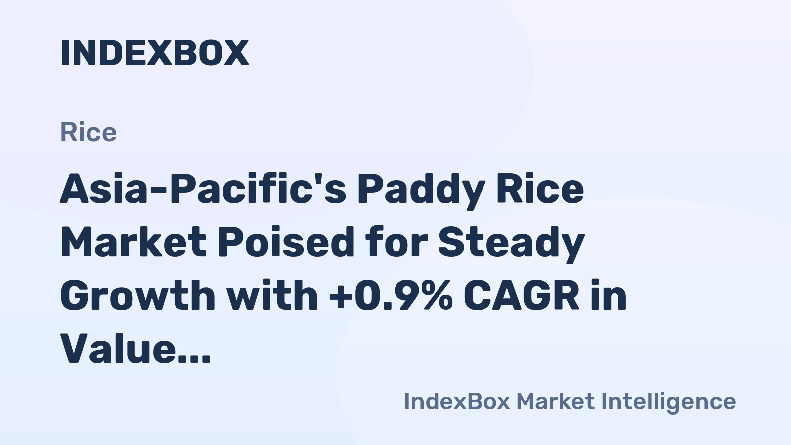 Asia-Pacific's Paddy Rice Market Poised for Steady Growth with +0.9% CAGR in Value